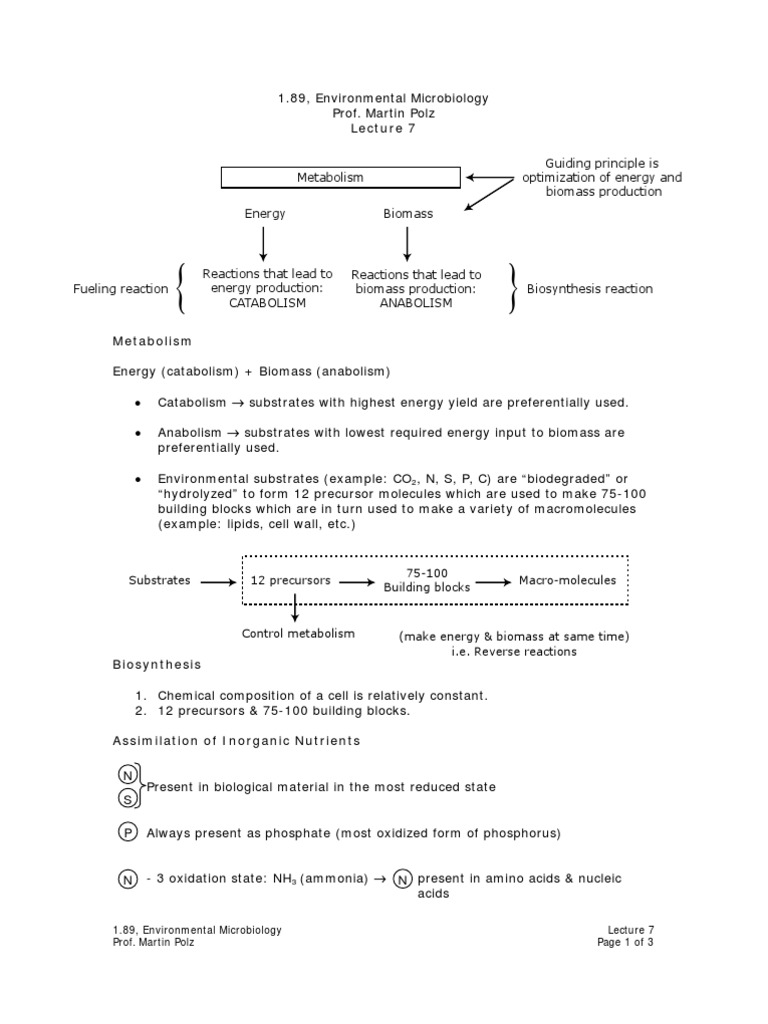 MIT Environment 9-30-04 | PDF | Metabolism | Metabolic Pathway