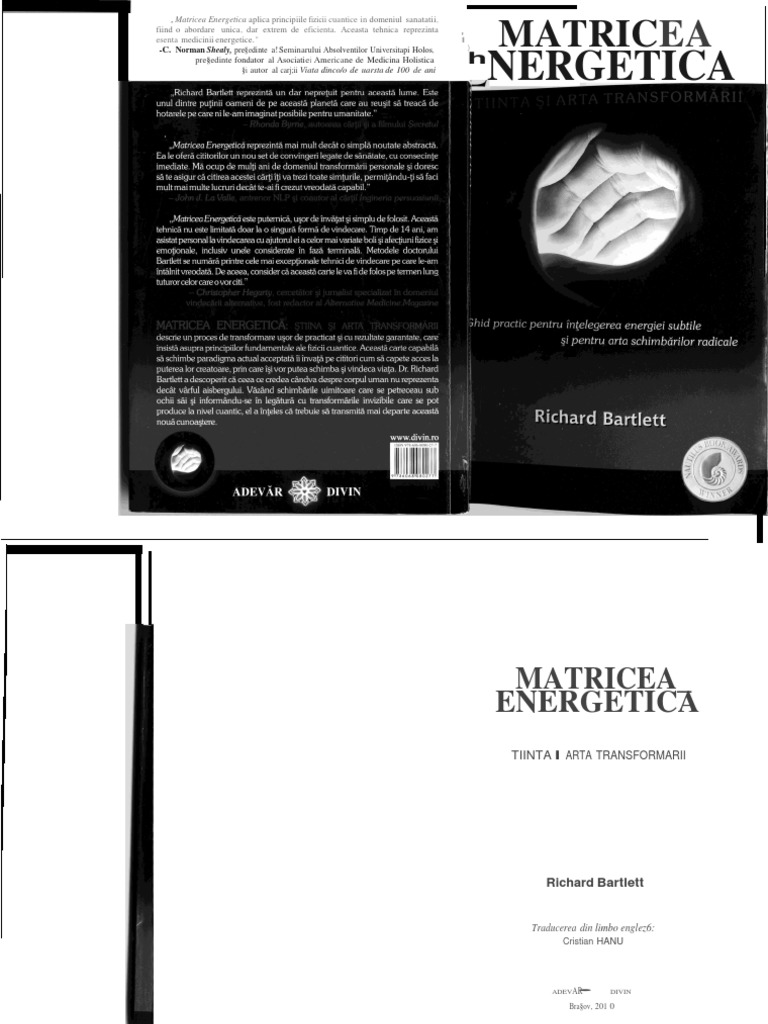 Matricea Energetica | PDF