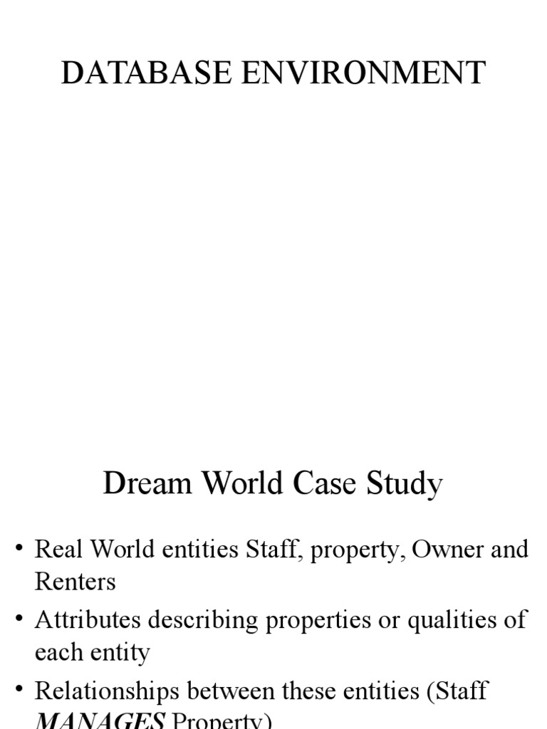 DB Environment | PDF | Data Model | Database Schema