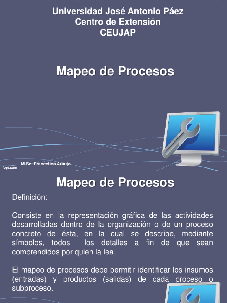 Mapeo de Procesos en Organizaciones | PDF | Función (Matemáticas ...