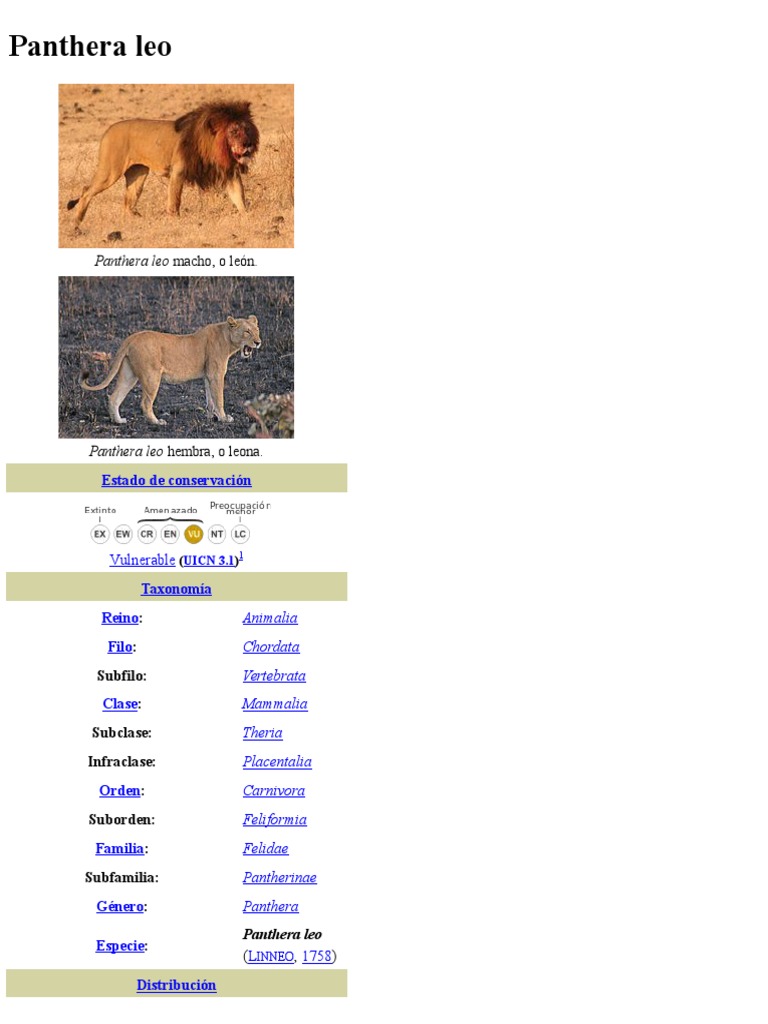 WIKI Panthera Leo | PDF | León | Panthera