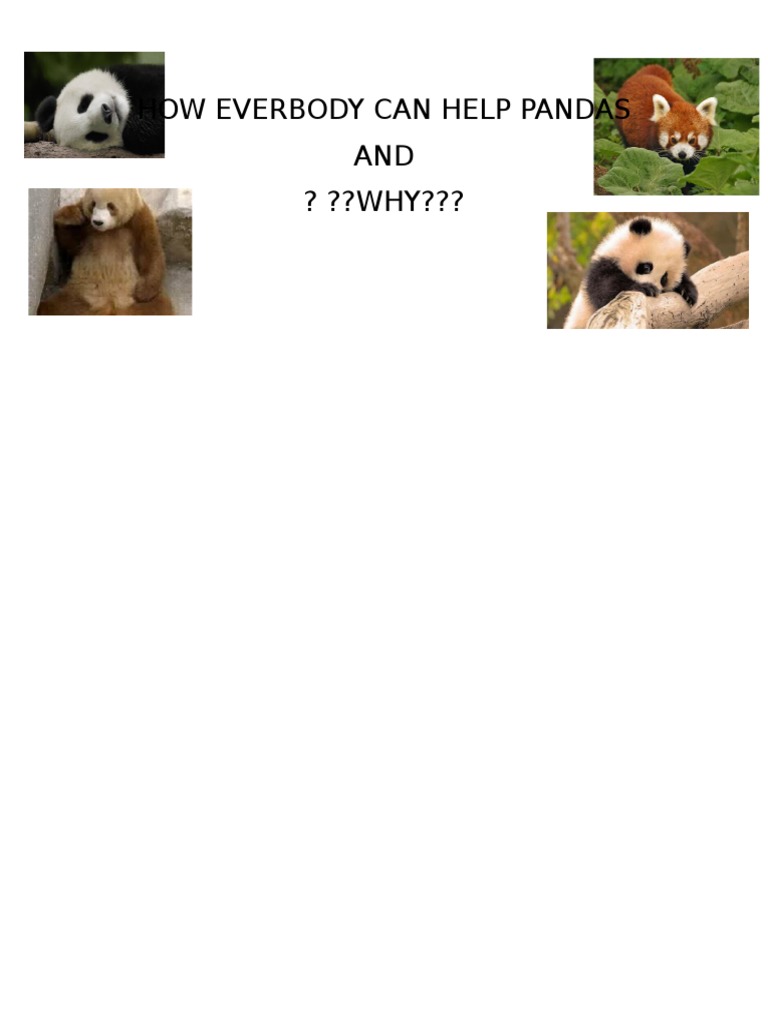 How Everbody Can Help Pandas | PDF