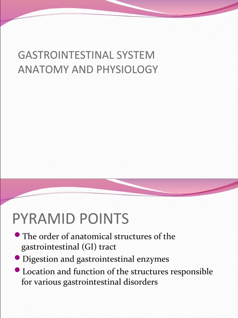 Anatomy of the Gastrointestinal System | PDF | Stomach | Pancreas