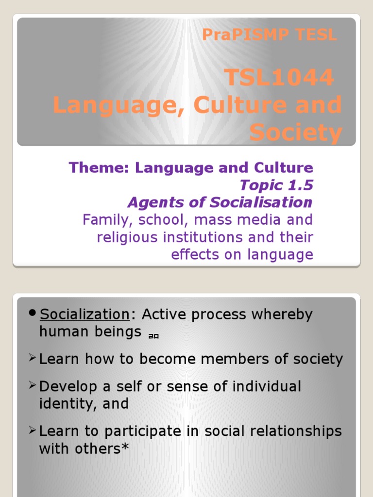 Agents Of Socialization Download Free Pdf Socialization Self