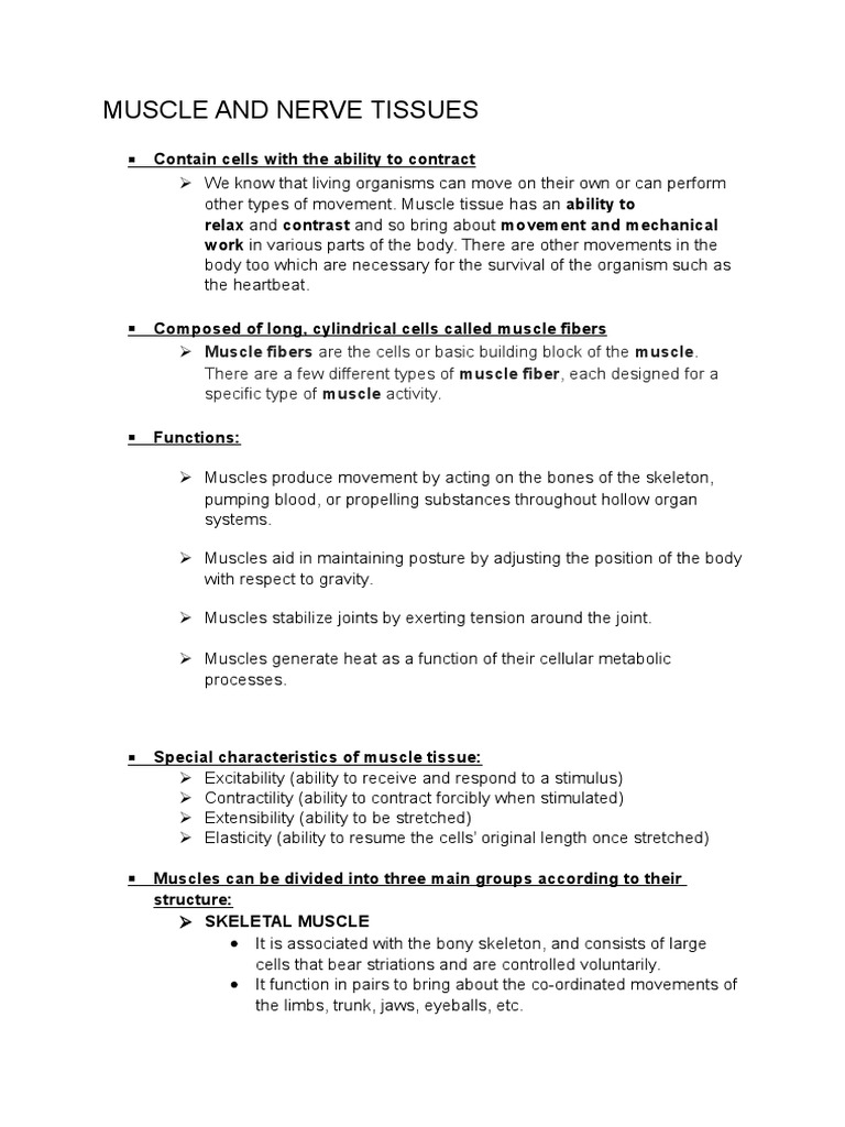 Muscle and Nerve Tissue Basics | PDF
