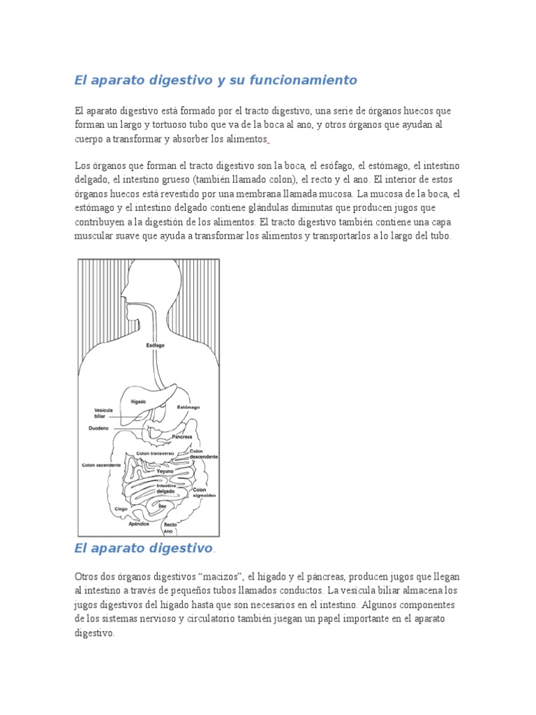 Cuadernillo El Aparato Digestivo y Su Funcionamiento BIOLOGIA | PDF ...