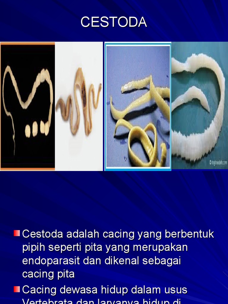 CESTODA | PDF | Griya & Taman