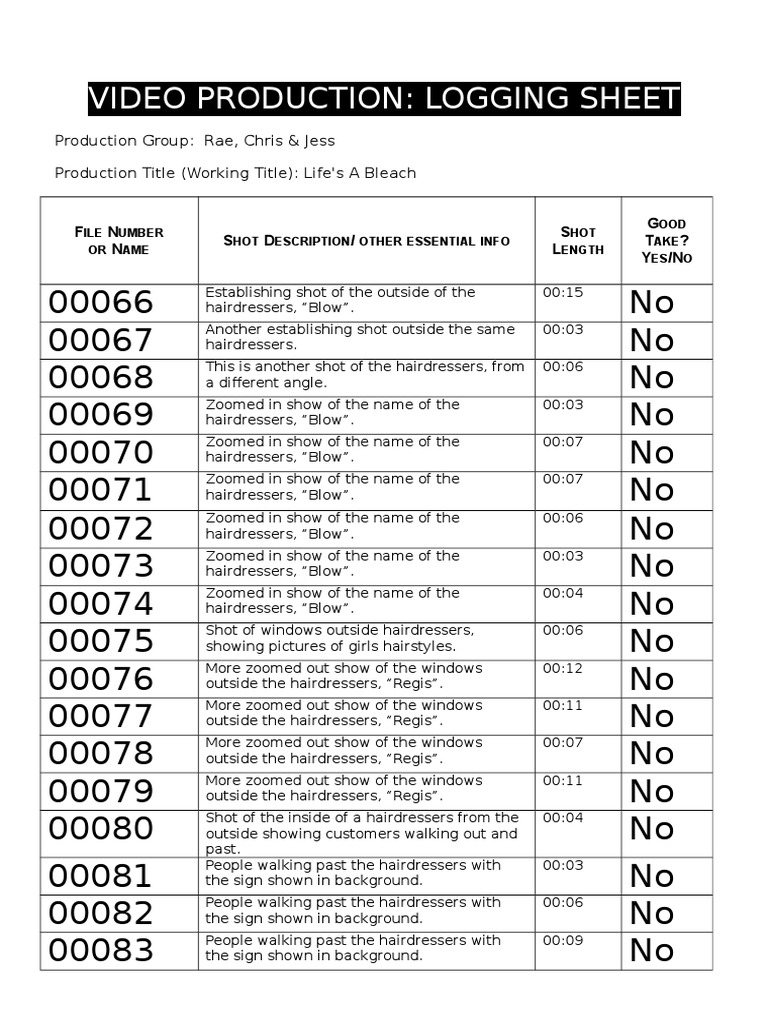 Logging Sheet | PDF | Dye | Hairdresser