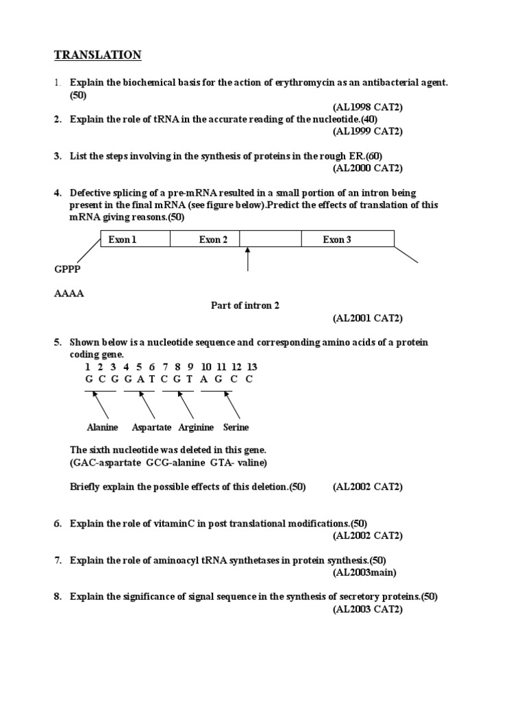 DNA Translation questions