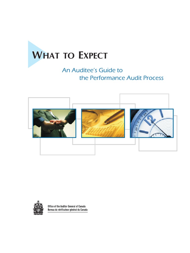 An Auditees Guide To The Performance Audit Process | PDF | Audit ...