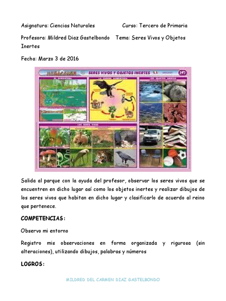 Seres Vivos y Objetos Inertes | PDF | Plantas | Organismos