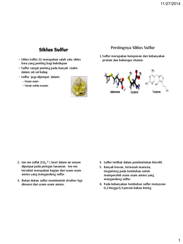 Siklus Sulfur | PDF