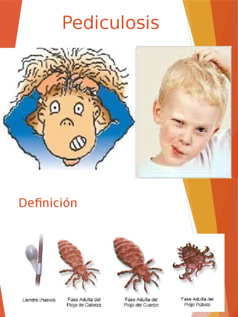 Pediculosis: Características, diagnóstico y tratamiento de las liendres capitis, vestimenti y ...