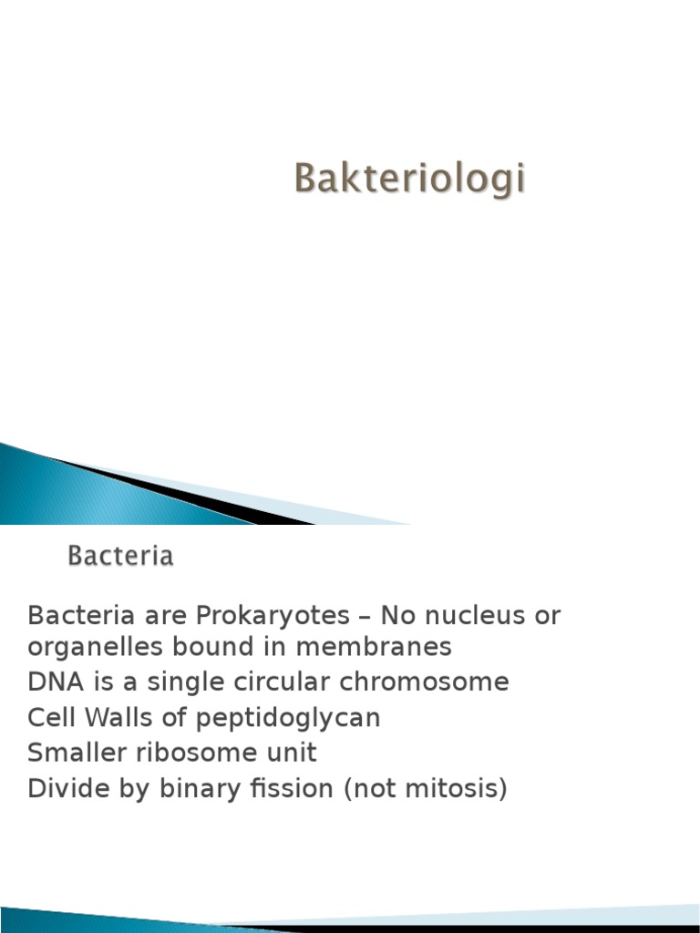 Bacterial Structure & Function Guide | PDF