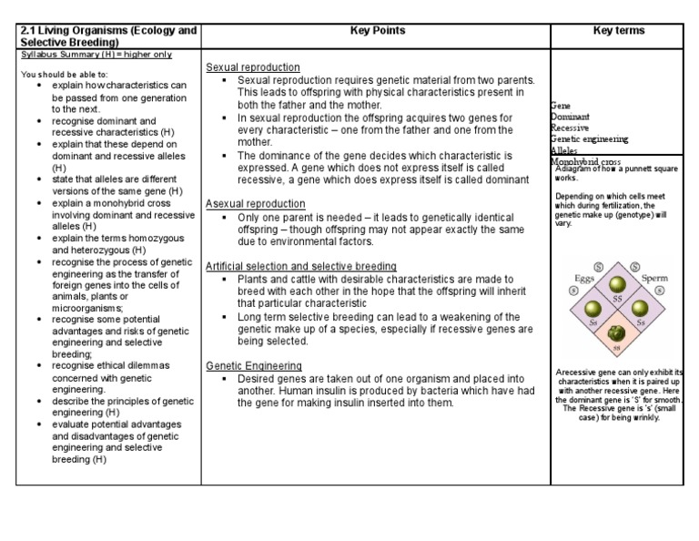Genetics: Alleles, Breeding & Engineering | PDF | Dominance (Genetics ...