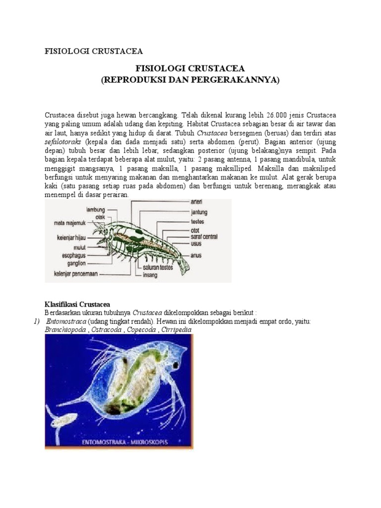 Fisiologi Crustacea | PDF | Sains & Matematika