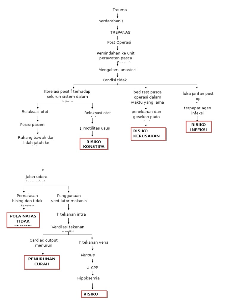 Pathway Post Trepanasi | PDF