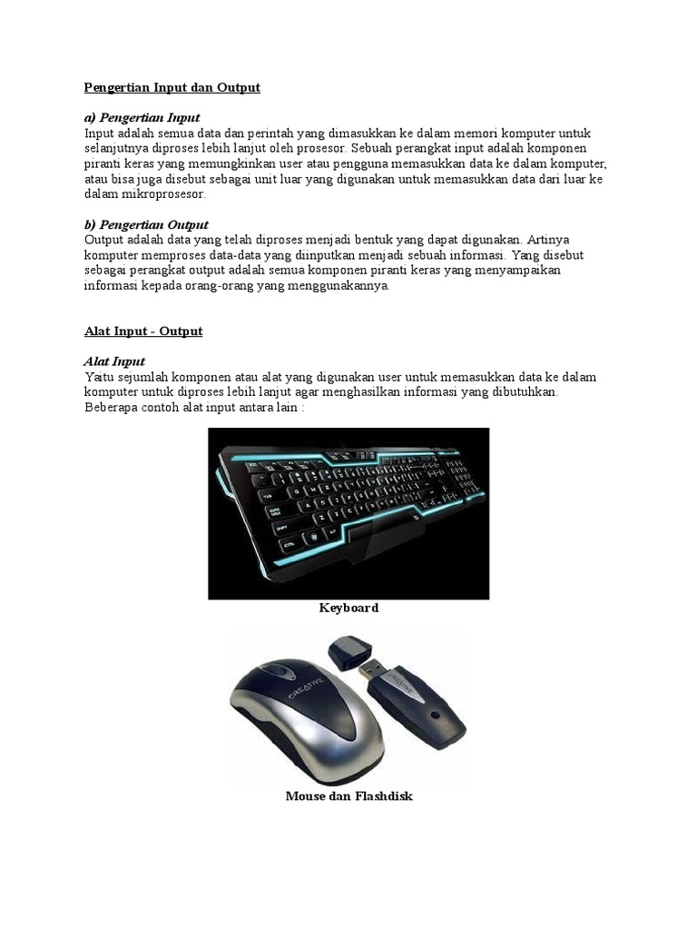 Materi Pengertian Input Dan Output | PDF