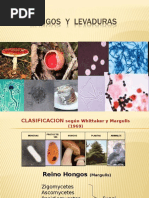 Tipos y formación de conidios en hongos | PDF | Espora | Hongo