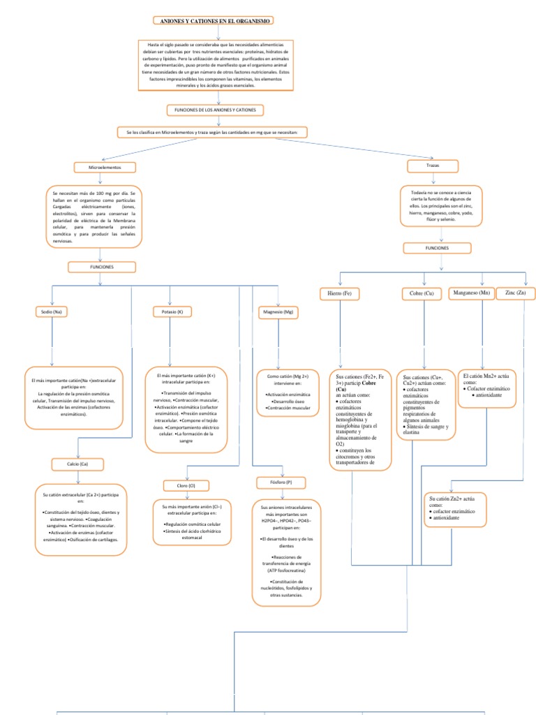 Mapa Conceptual Cationes y Aniones en El Organismo | Potasio | Sodio