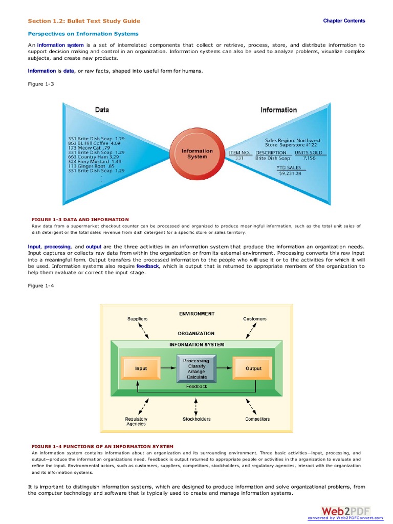 Perspective of Information System | PDF | Information System | Computer ...