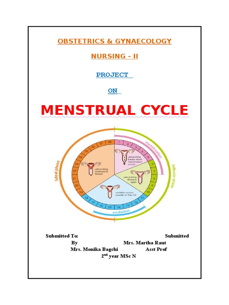 Menstrual Cycle Overview for Nursing Students | PDF | Menstrual Cycle ...