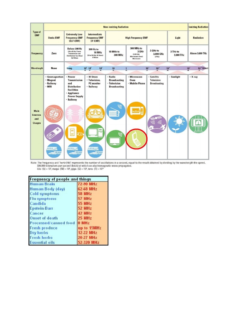 Human Body Frequencies | PDF