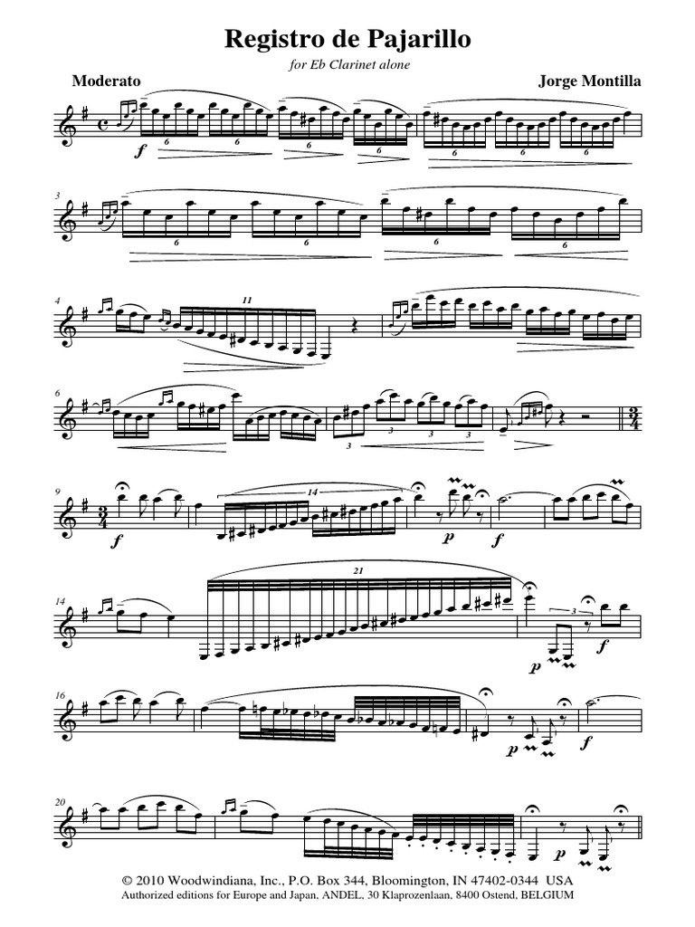 Registro de Pajarillo | PDF