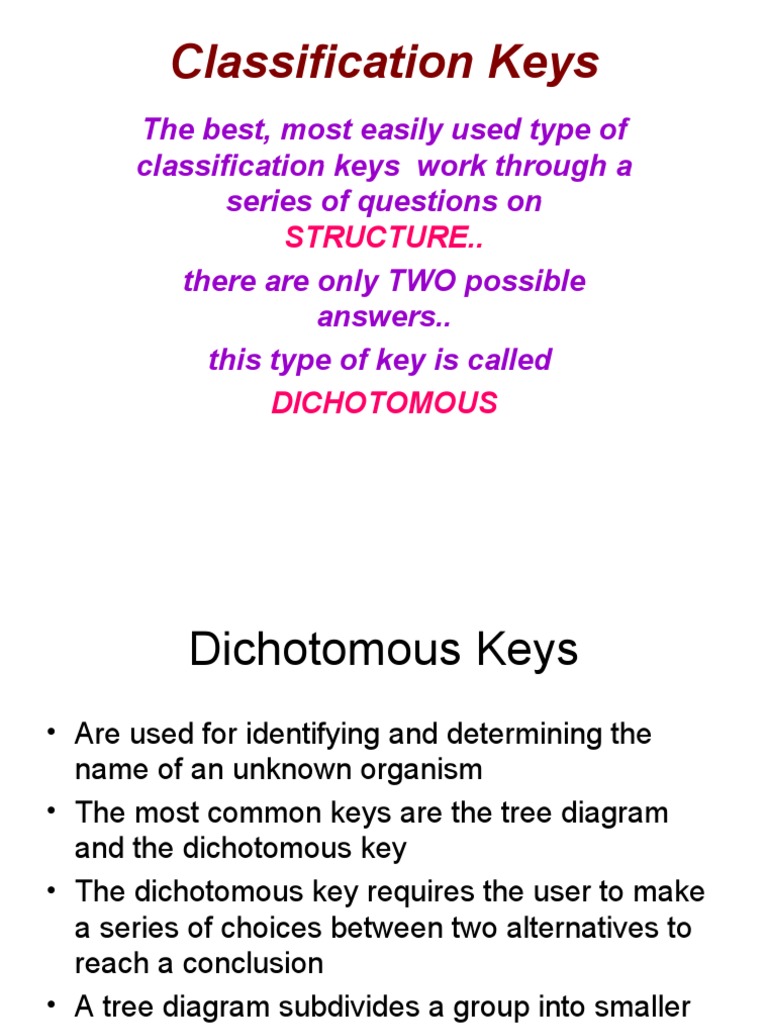 Dichotomous Keys | PDF | Feather | Egg
