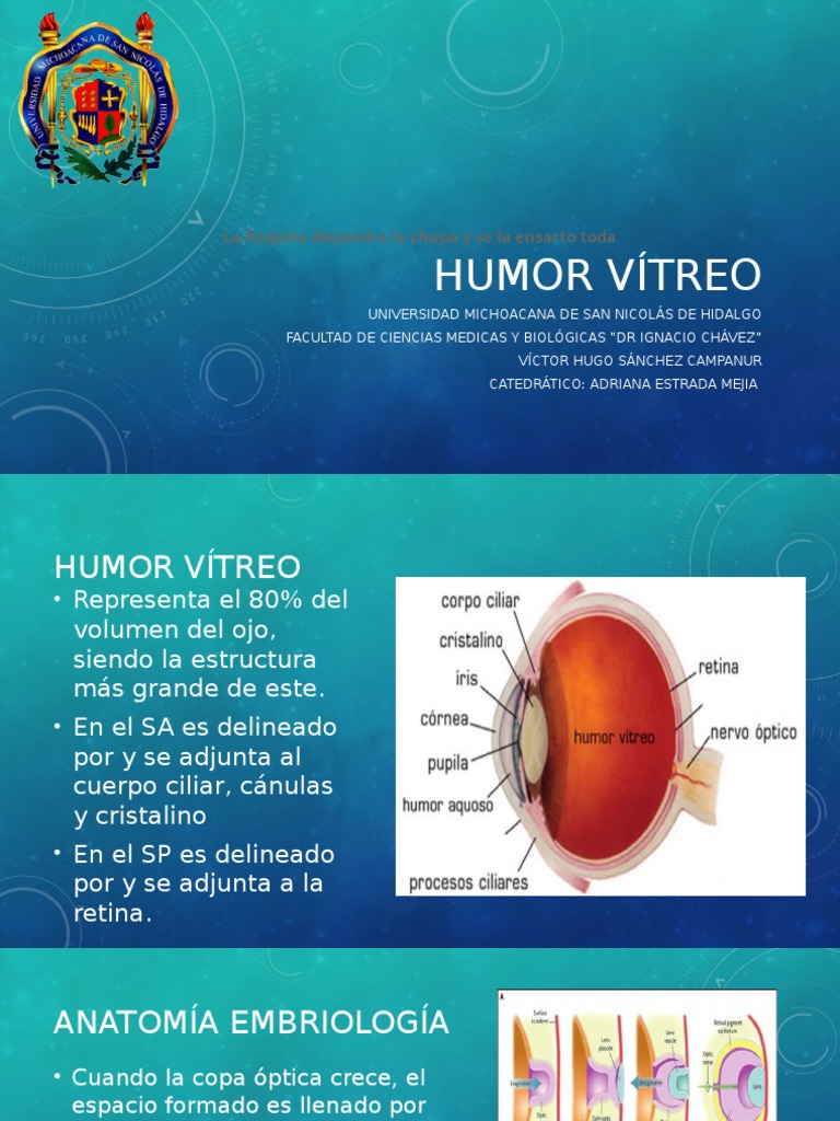 Humor Vitreo | PDF | Metabolismo | Ojo humano