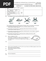 3rd Grade - Food Chain Worksheet | PDF