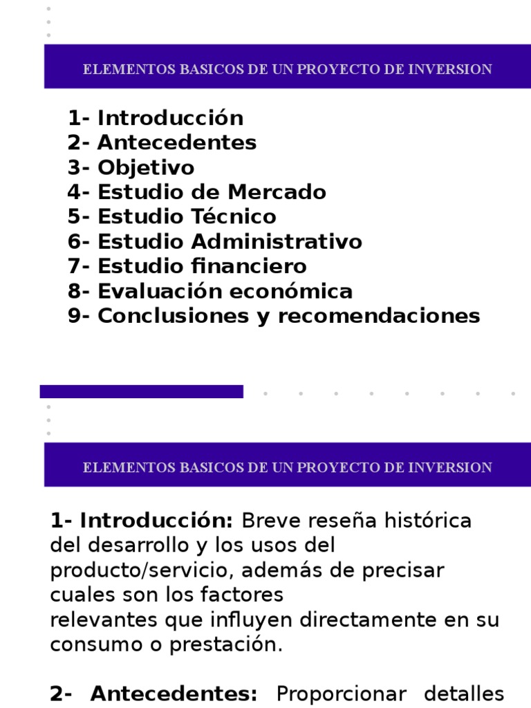 Elementos Basicos de Un Proyecto de Inversion | Presupuesto | Producto (Negocio)