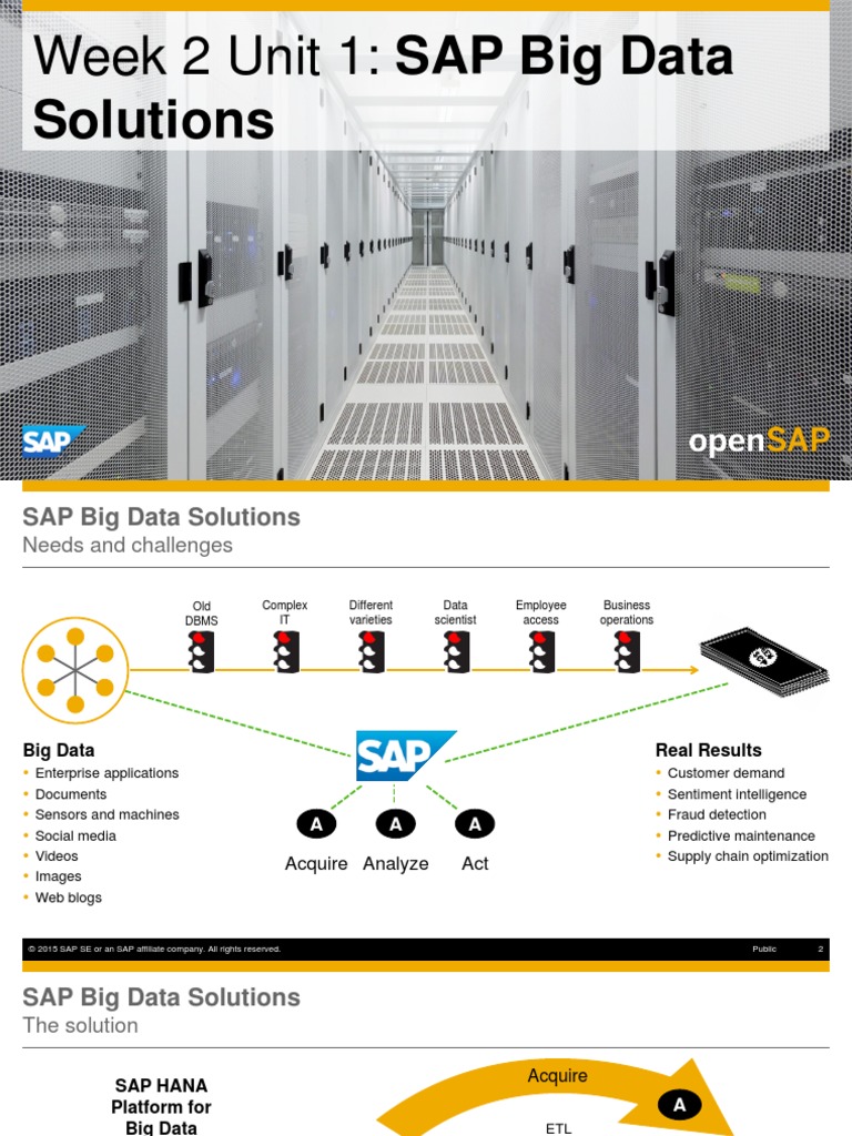 Solutions: Week 2 Unit 1: SAP Big Data | PDF