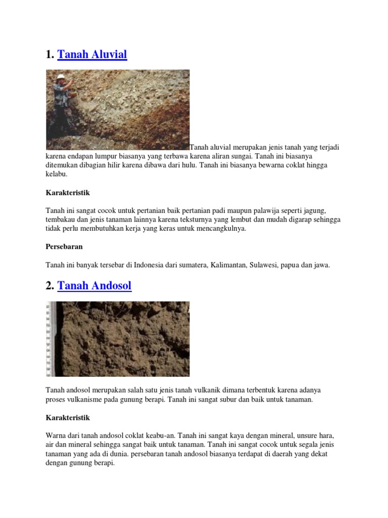 jenis jenis tanah