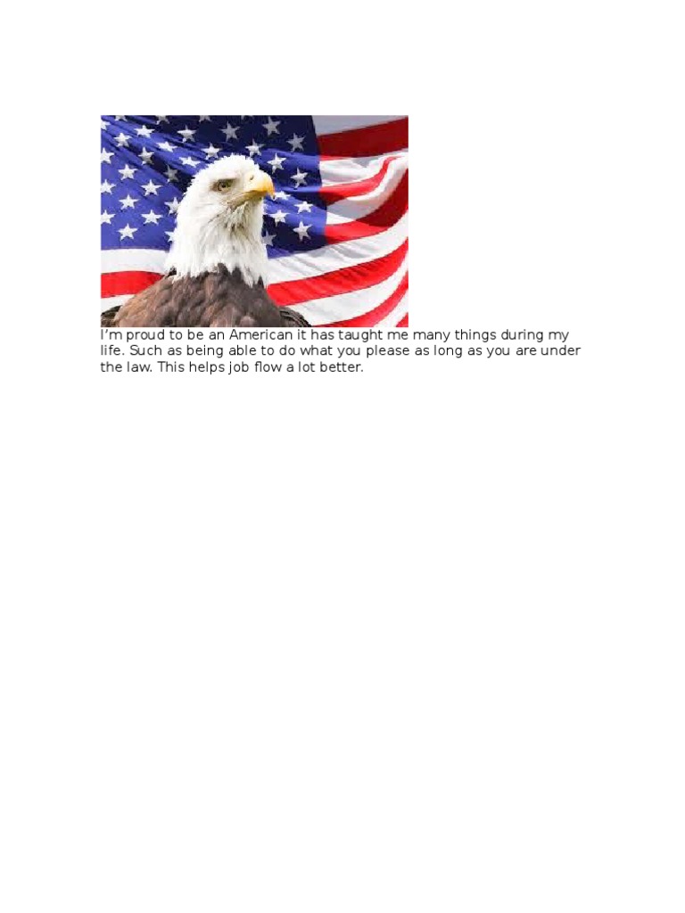 American Flag | PDF