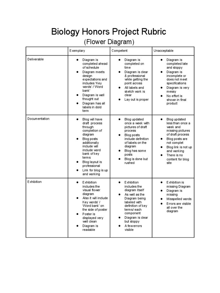 Copyofbiologyhonorsrubric | PDF | Art | Computers