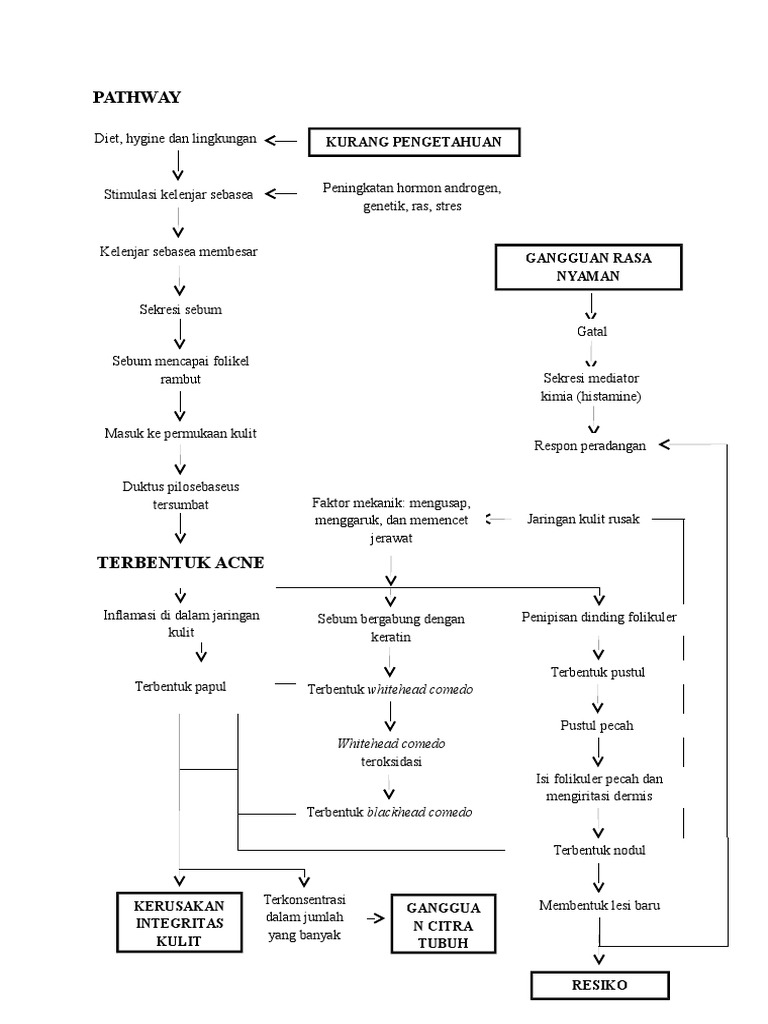 Pathway Acne Vulgaris