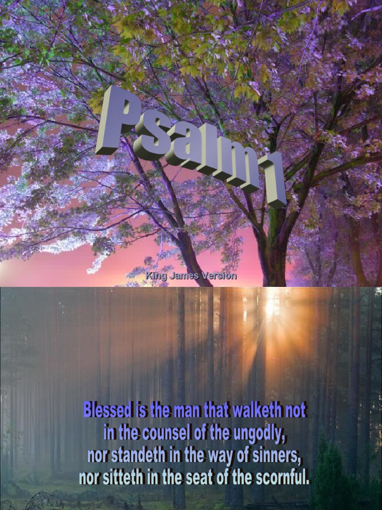 Psalm 1 Activity Page | PDF