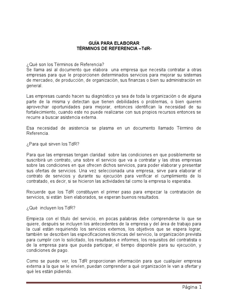 Guía TDR | PDF