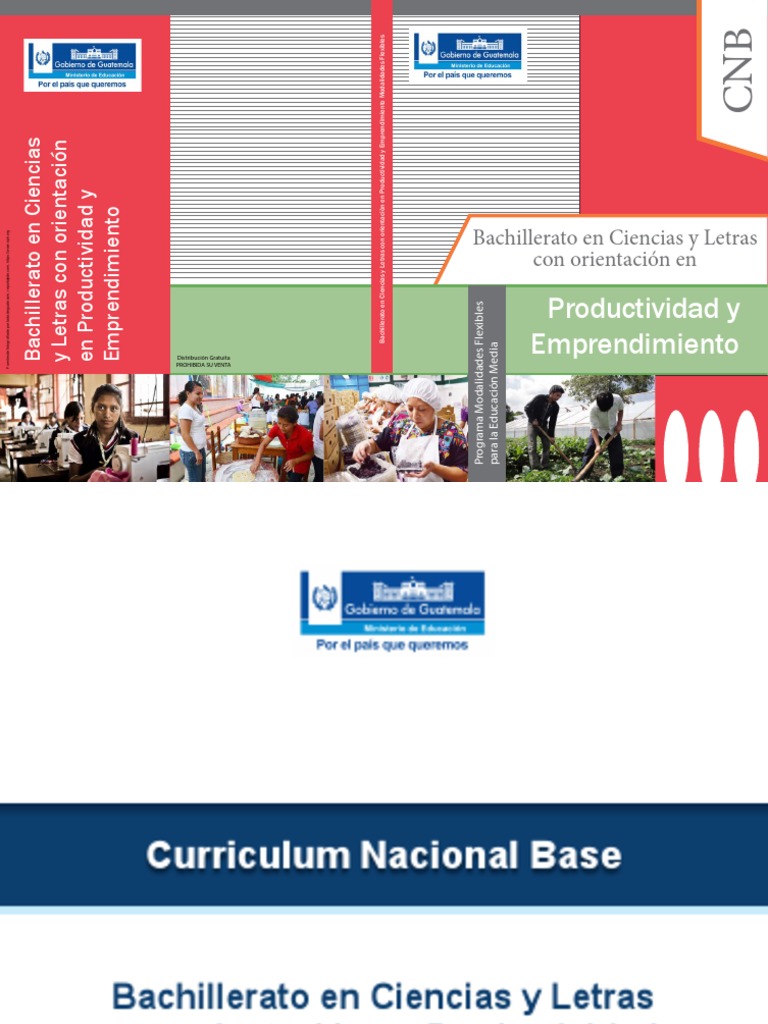 CNB Modalidades Flexibles Final | PDF | Educación Secundaria | Guatemala