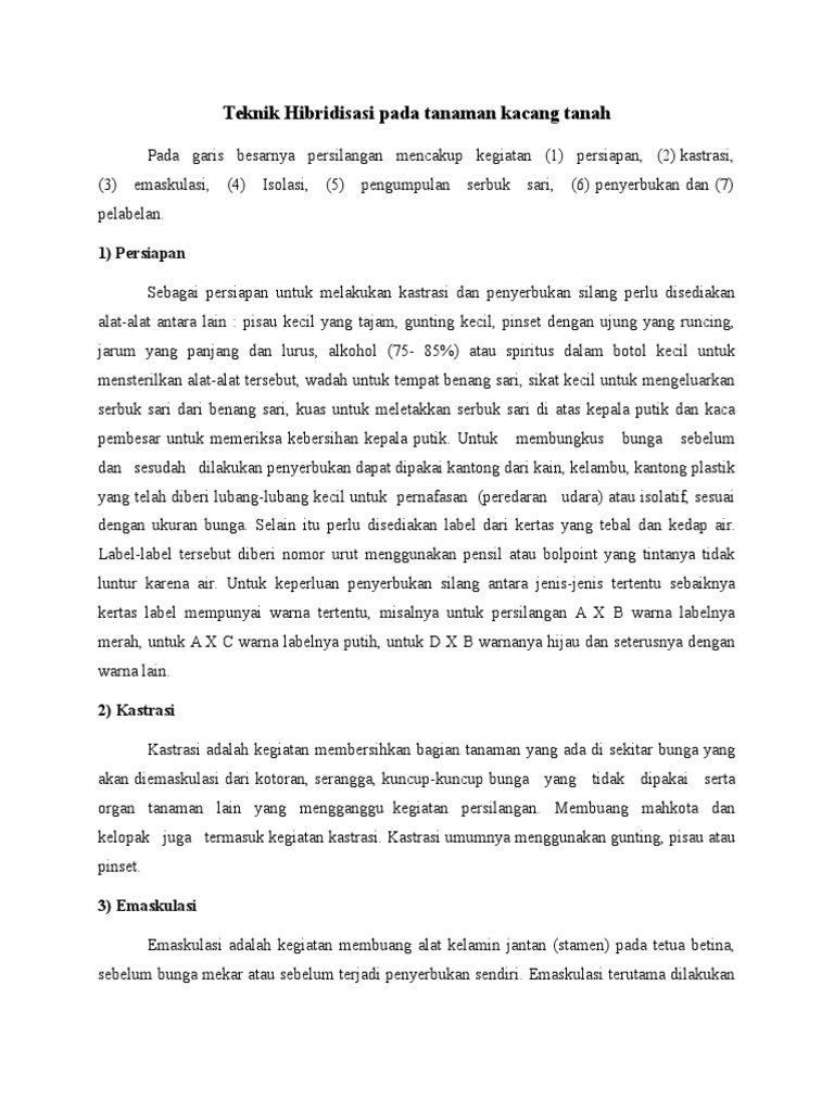 Teknik Hibridisasi Pada Tanaman Kacang Tanah | PDF