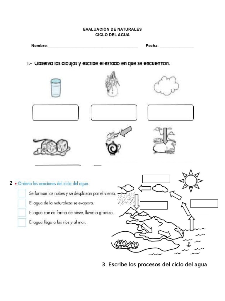 Evaluación Ciclo Del Agua | PDF