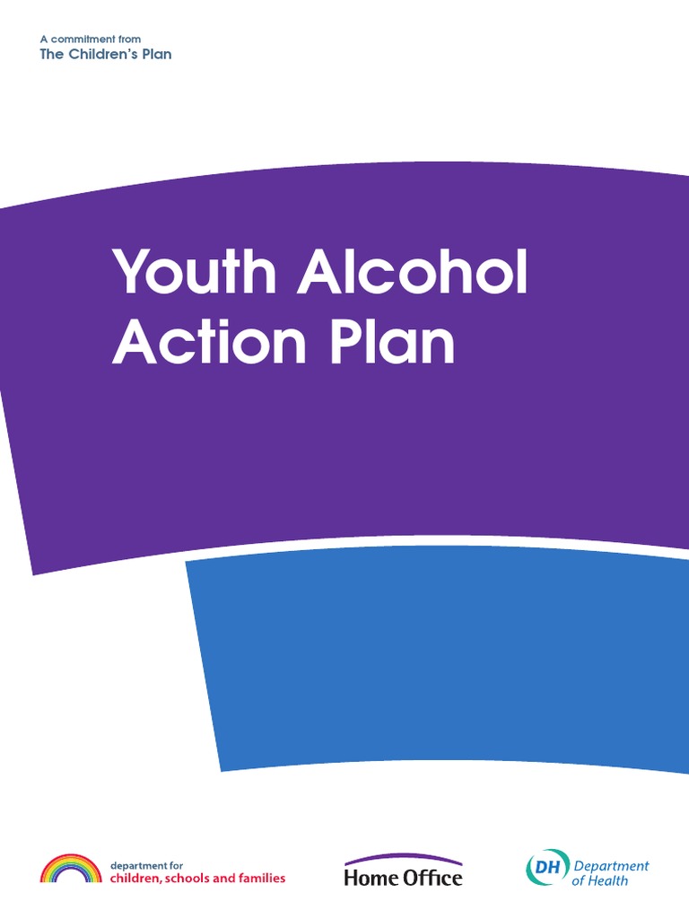 Youth Alcohol Action Plan | PDF | Youth | Alcoholic Drinks