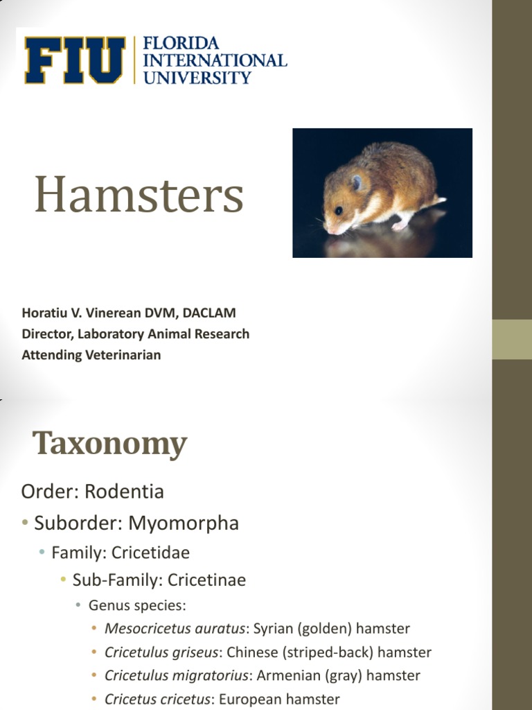 Hamster Biology Husbandry | PDF | Medical Specialties | Animal Diseases