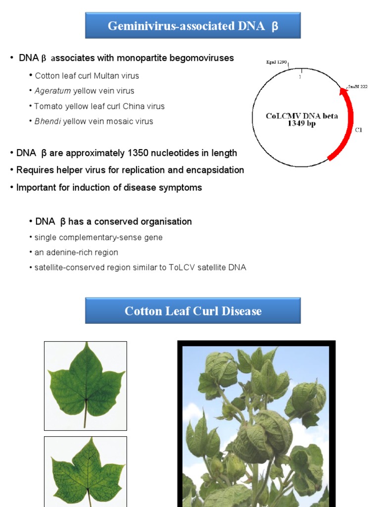 Identification of Sequence Elements Regulating Promoter Activity and ...