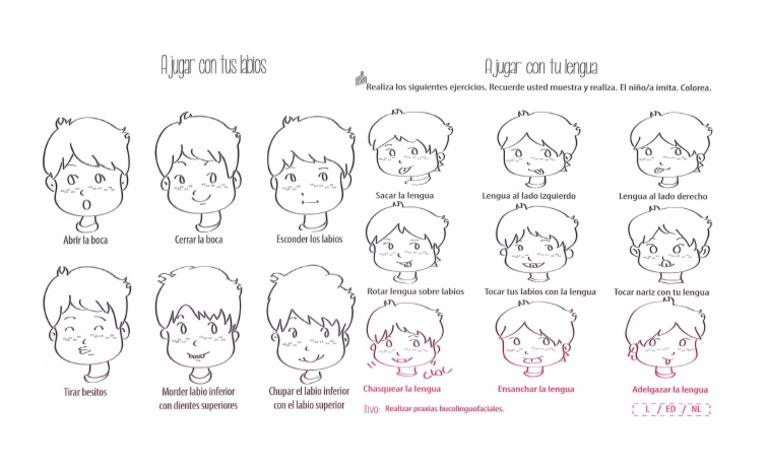 Praxias Labiales y Linguales | PDF