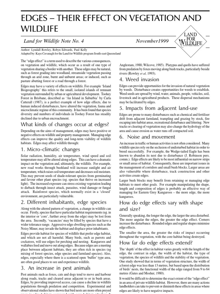 Understanding Edge Effects in Ecology | PDF | Habitat | Disturbance ...