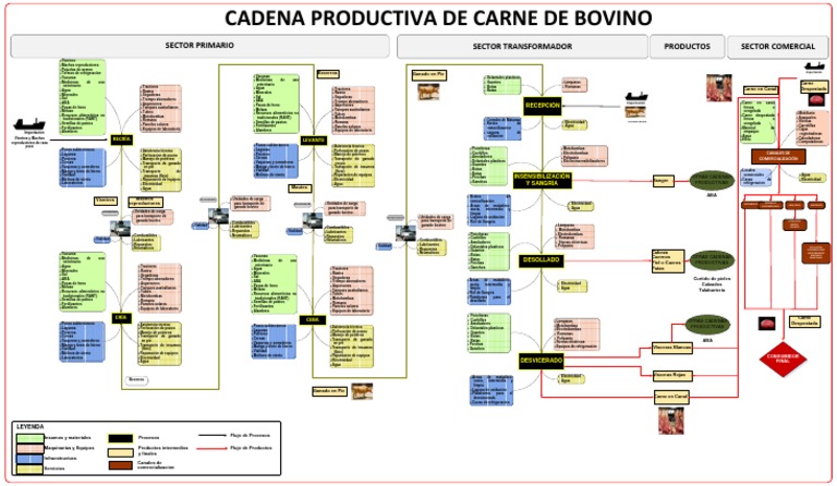 Cadena Productiva Carne de Bovino | PDF | Matadero | Animales y humanos