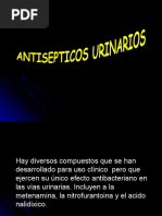 Prospecto NIFURYL | PDF | Infección del tracto urinario ...