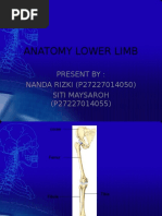 Interdigital (Morton's) Neuroma - Foot & Ankle - Orthobullets | PDF ...